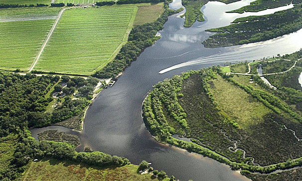 In the Media: Manatee County Fort Hamer Bridge Construction